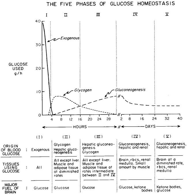 Learn the basics of fasting Fasting 101 | Fasting.com